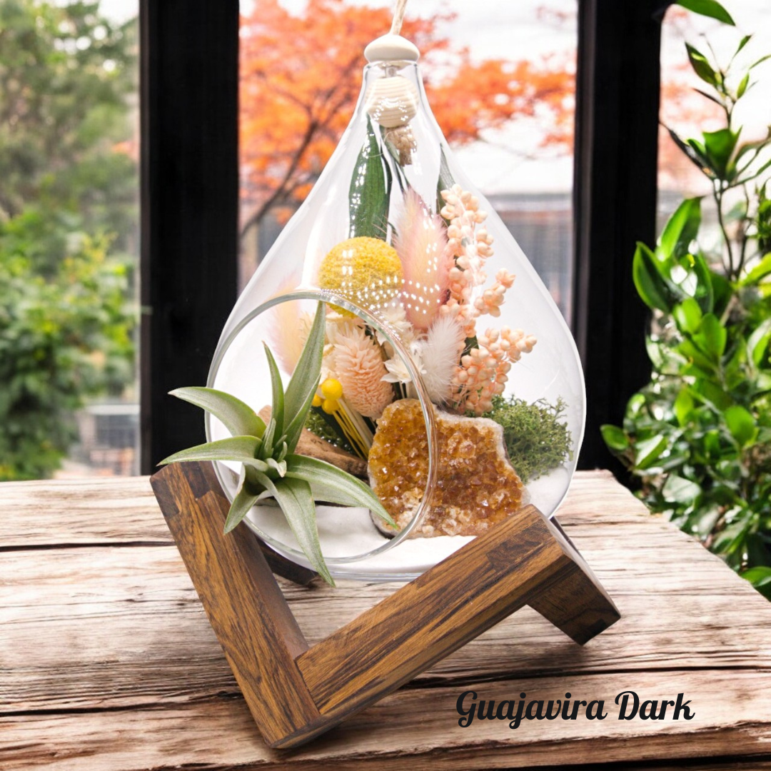 Wooden Displays - Large – Plant Babies Terrariums