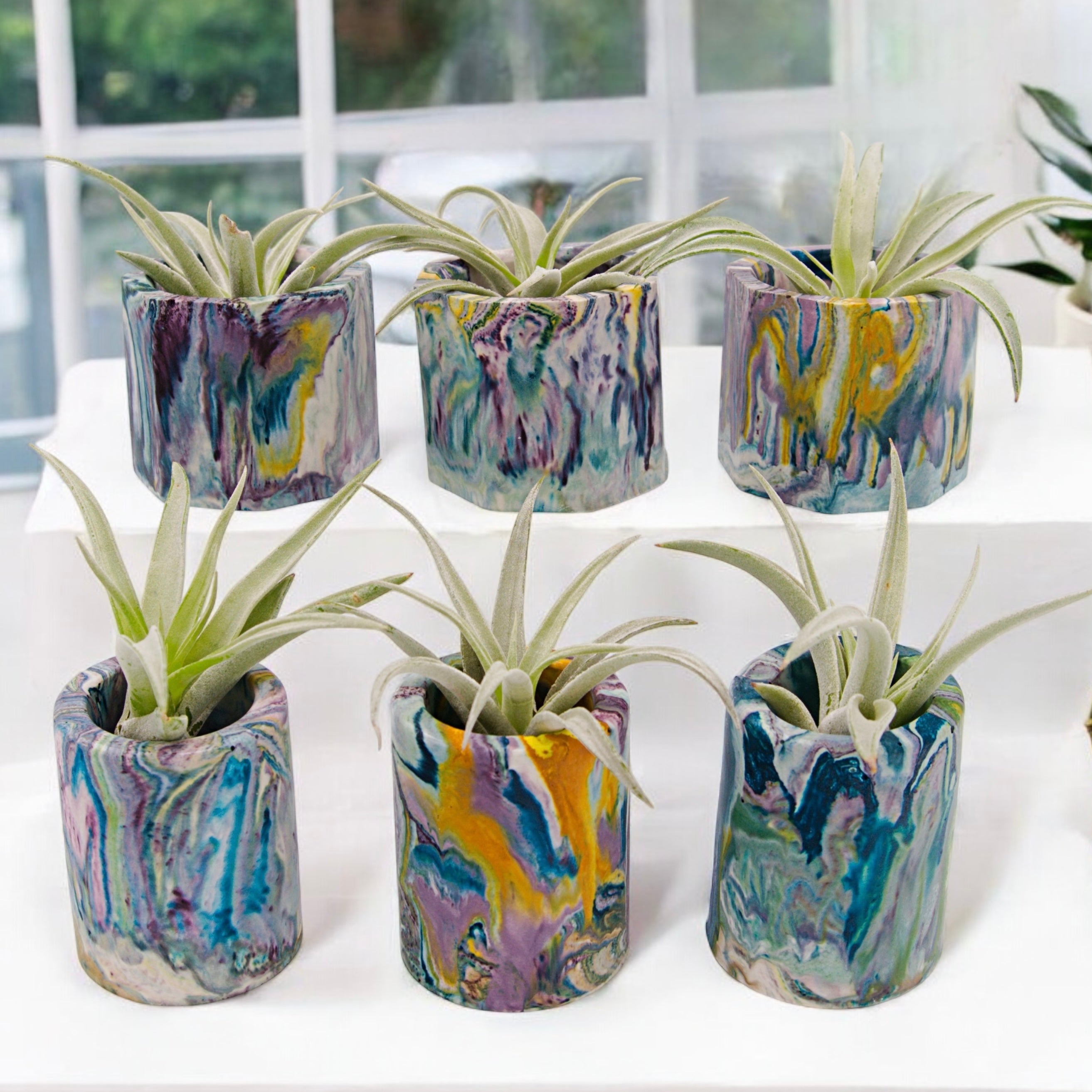 Vangogh-inspired marbled hydrostone airplant pots – Plant Babies Terrariums